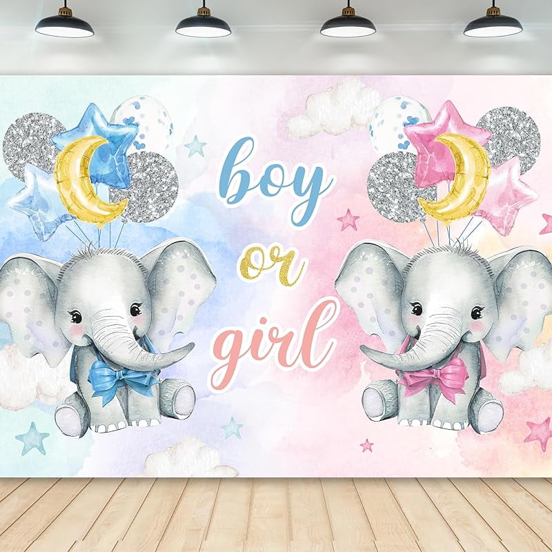 He Or She Gender Reveal Backdrop Boy or Girl Pink Cloud What Will Baby Be Background Gold Stars ...