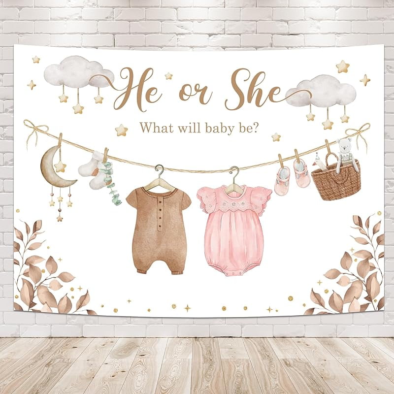 He Or She Gender Reveal Backdrop Boy or Girl Pink Cloud What Will Baby Be Background Gold Stars ...