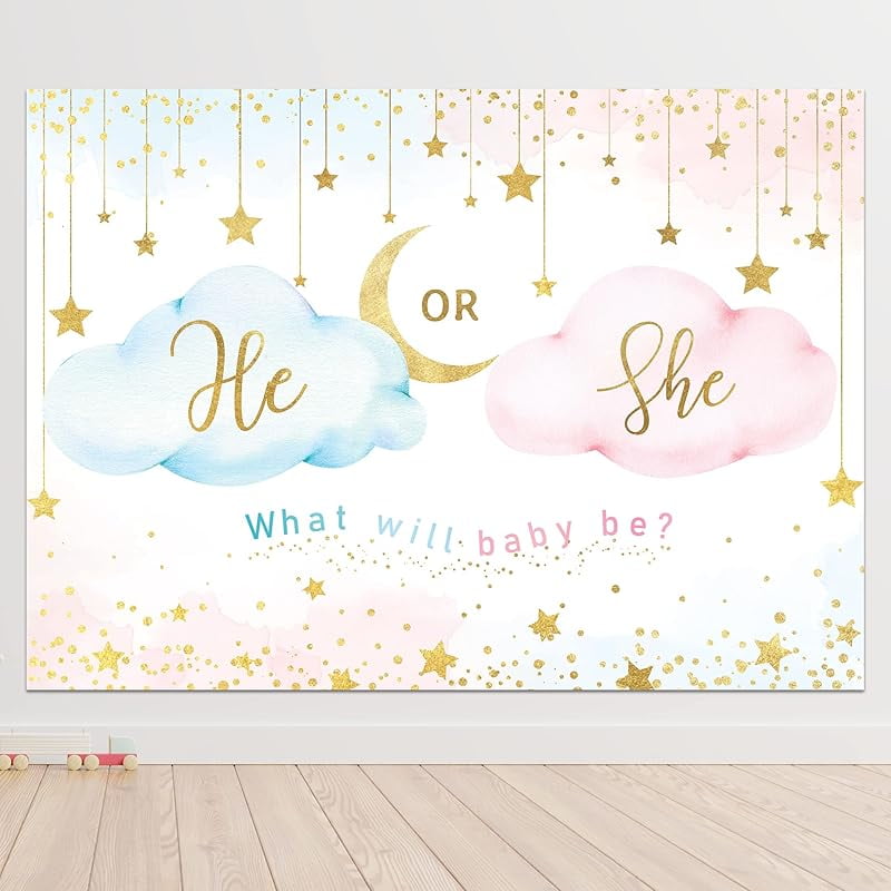 He Or She Gender Reveal Backdrop Boy or Girl Pink Cloud What Will Baby Be Background Gold Stars ...