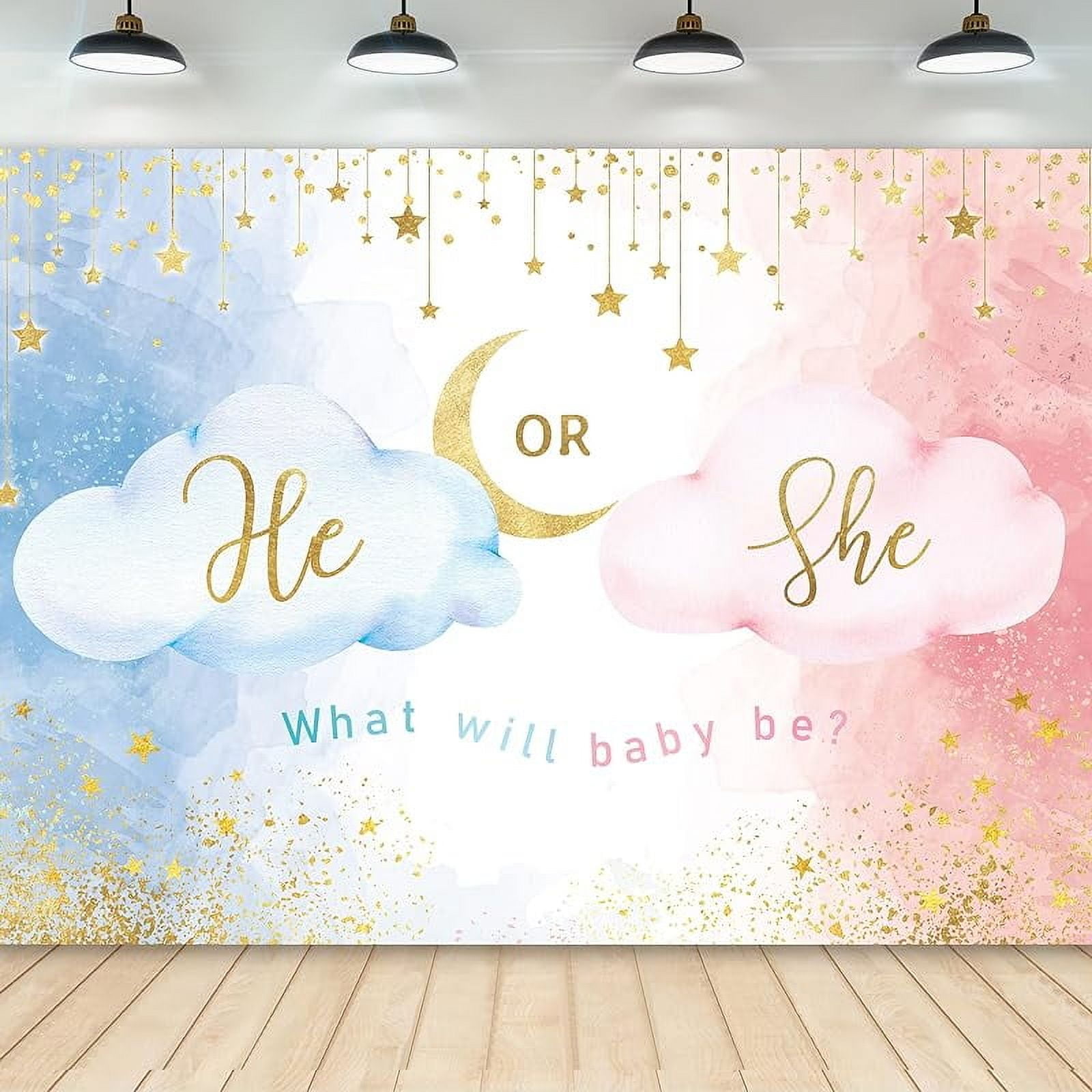 He Or She Gender Reveal Backdrop Boy or Girl Pink Cloud What Will Baby Be Background Gold Stars ...