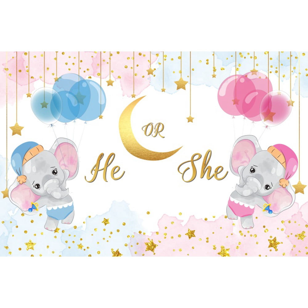 Gender Reveal Backdrop Boy Or Girl He Or She Baby Shower Photography ...