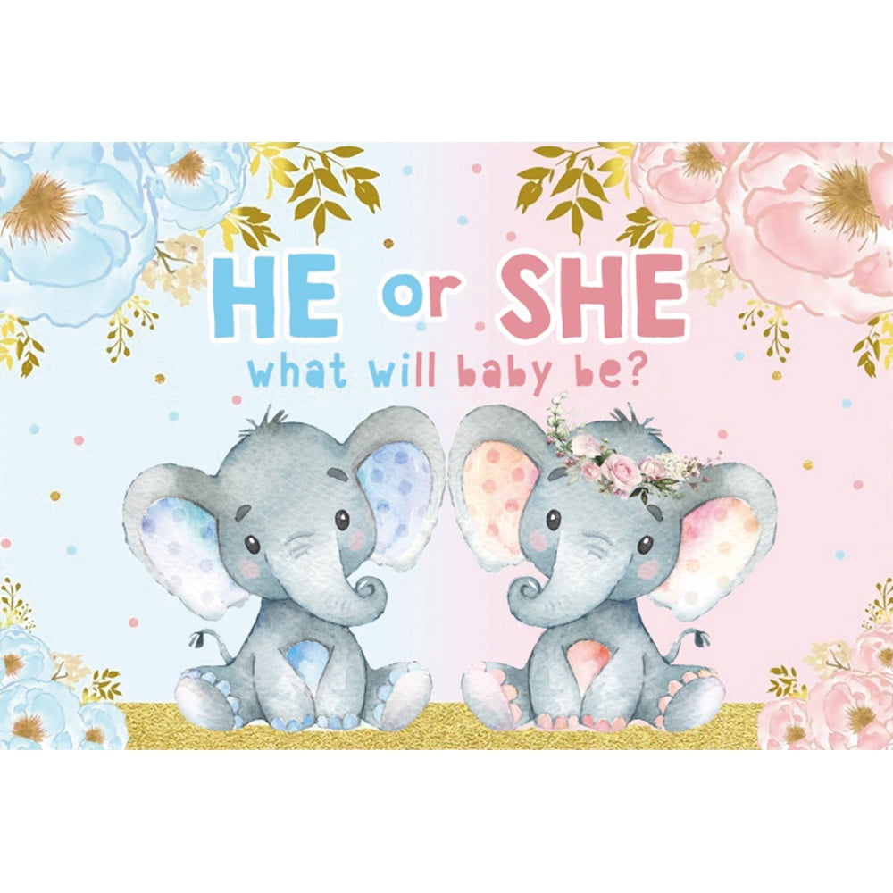 Gender Reveal Backdrop Boy Or Girl He Or She Baby Shower Photography ...