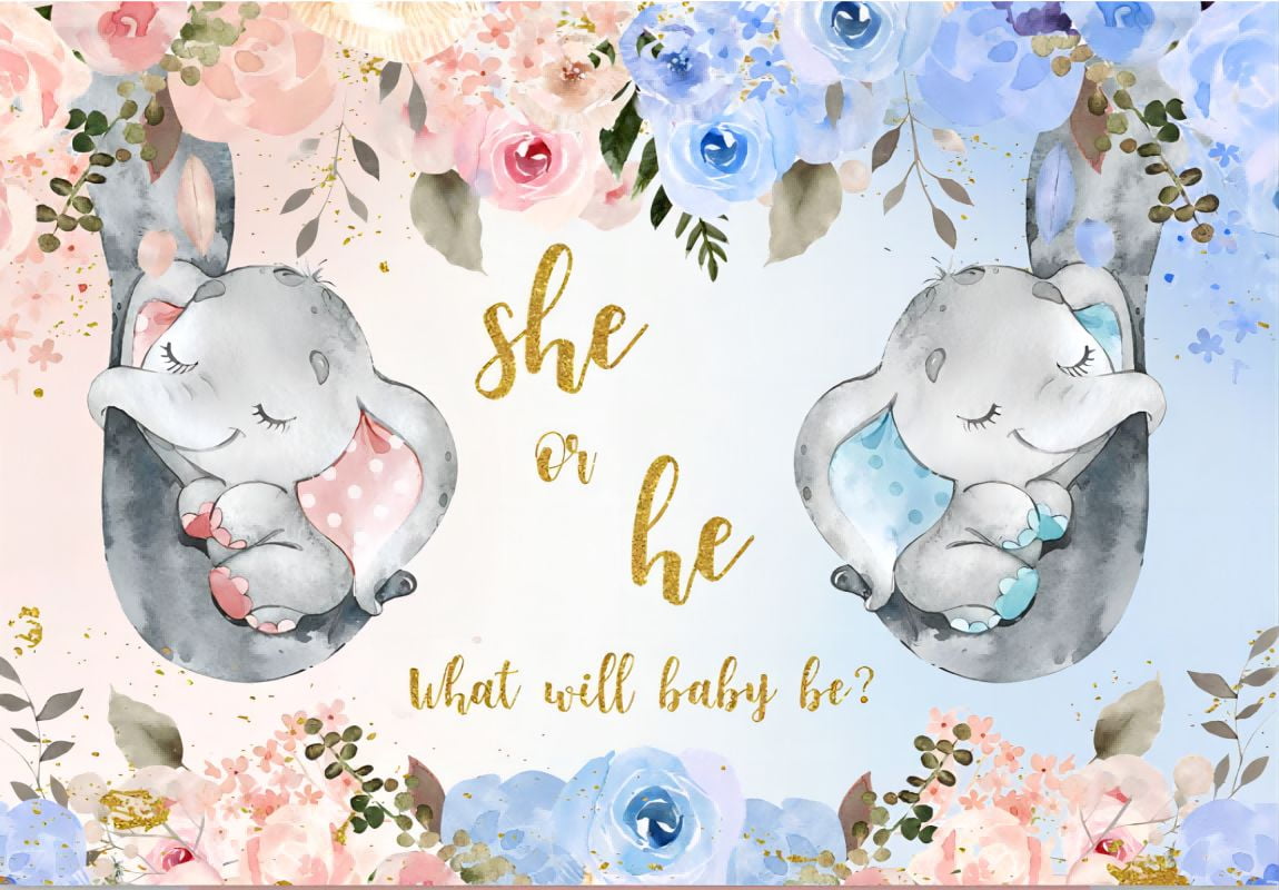 Gender Reveal Backdrop Boy or Girl Party rations Colorful Blue Sky ...
