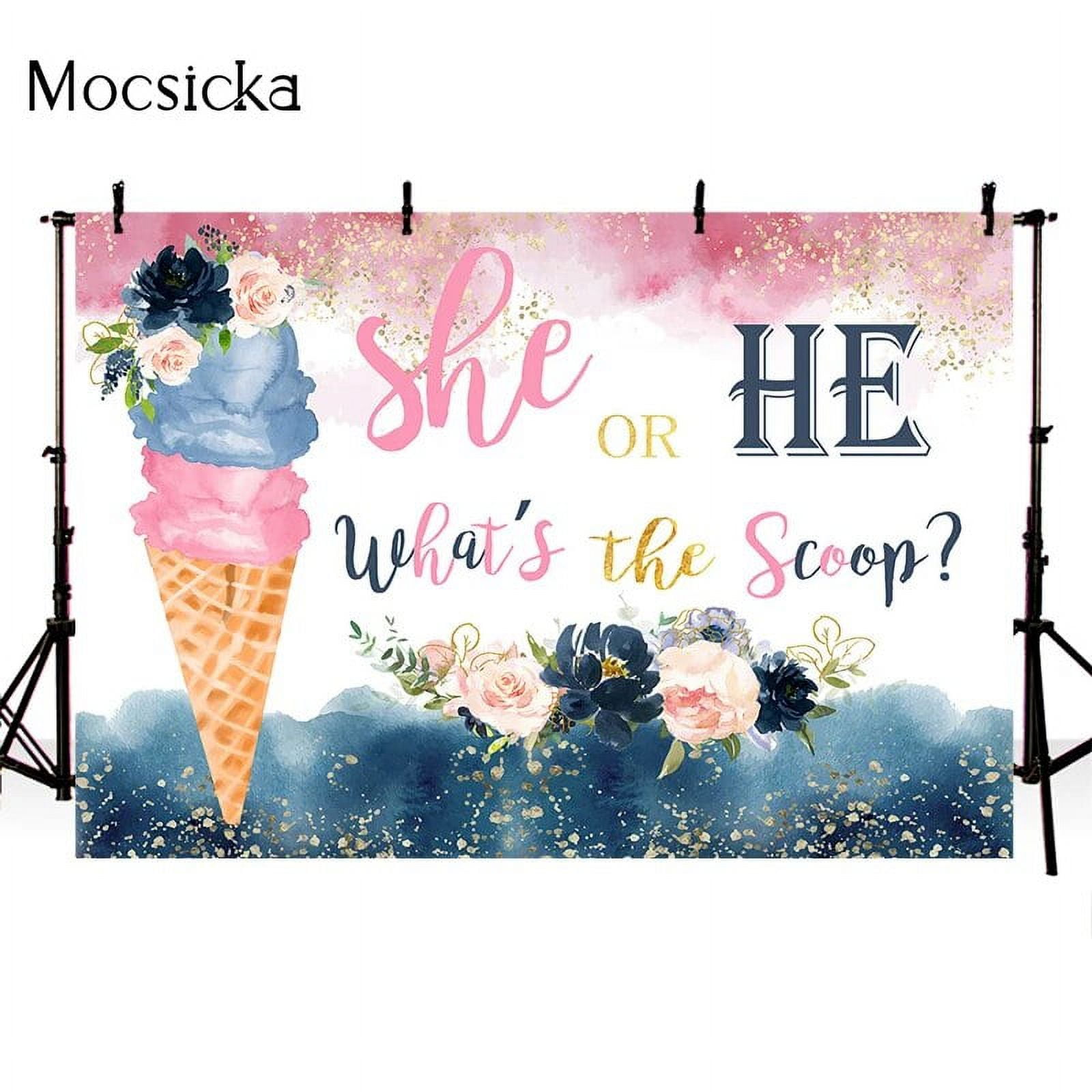 Gender Reveal Backdrop Boy or Girl Photography Background Pink Blue ...