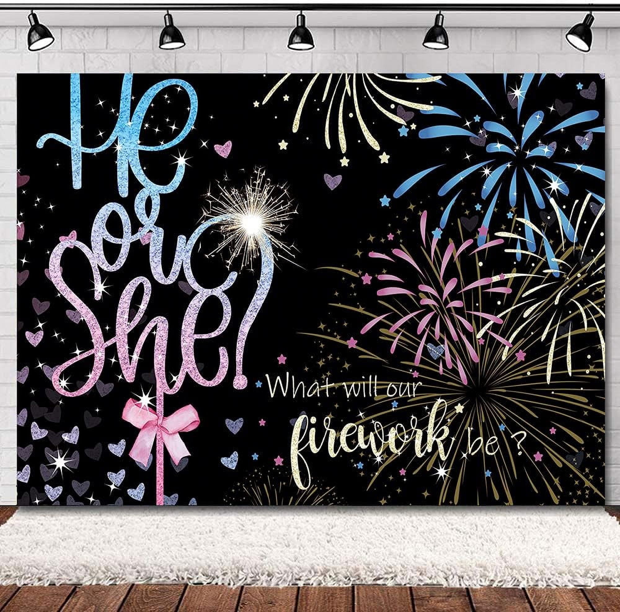 He or She Gender Reveal Backdrop Fireworks Boys or Girls Baby Shower ...