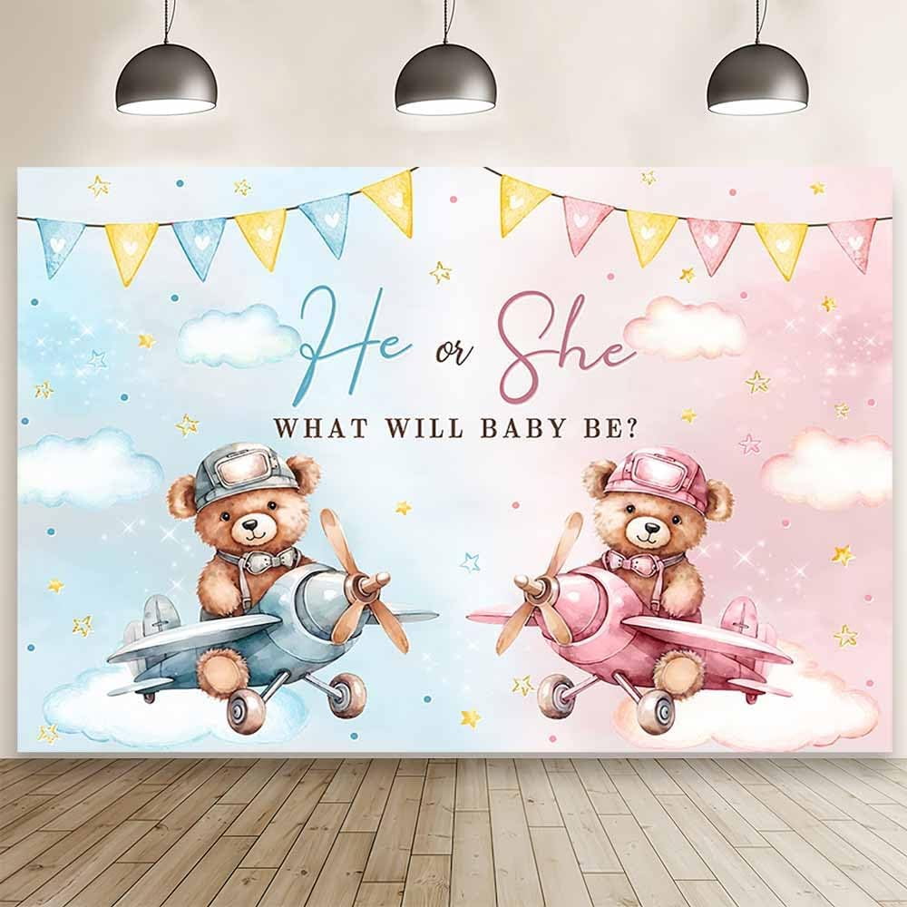 Gender Reveal Backdrop He or She What Will Baby Be Photography ...