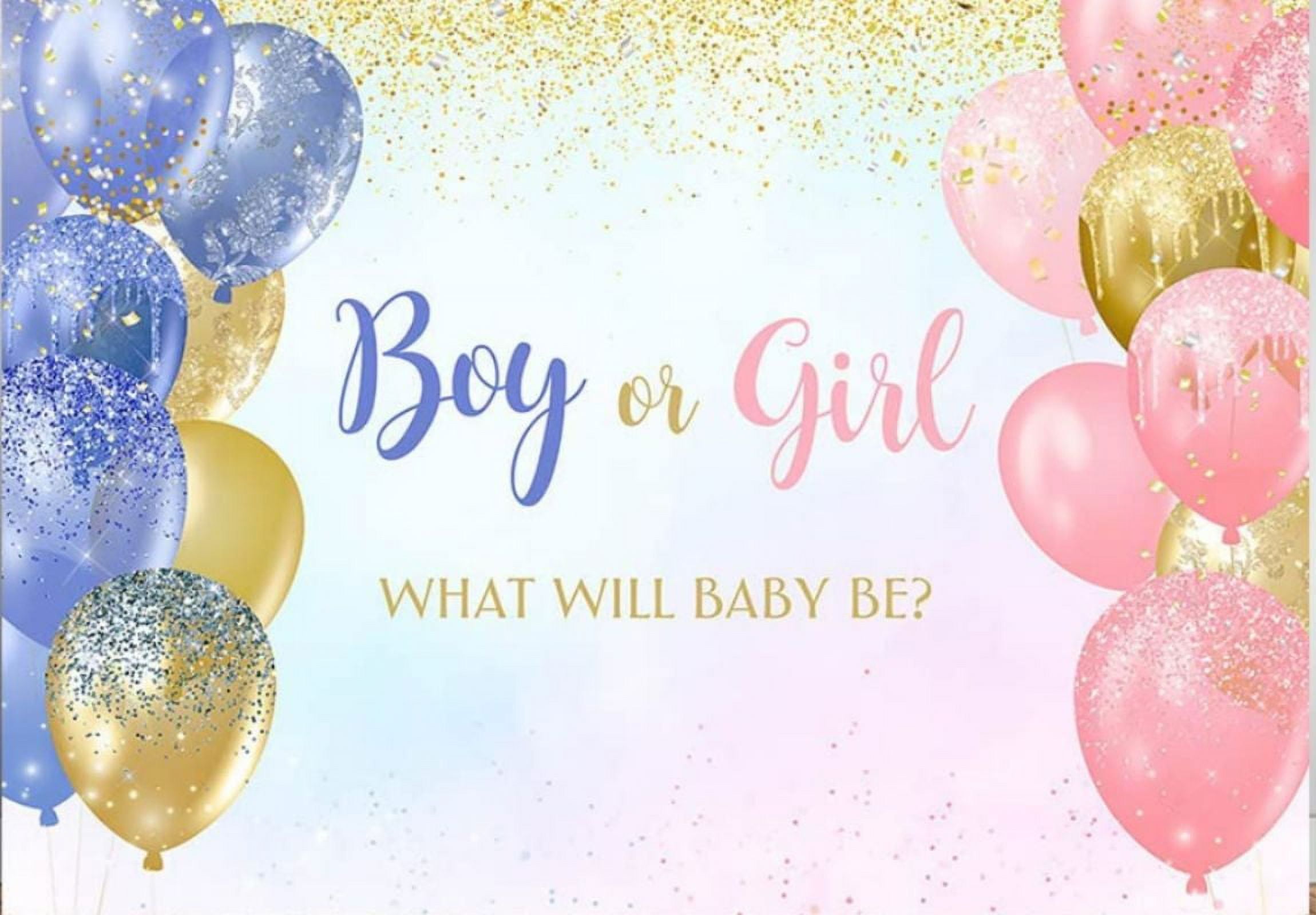 Gender Reveal Backdrop He or She Party Blue or Pink Boy or Girl Banner ...