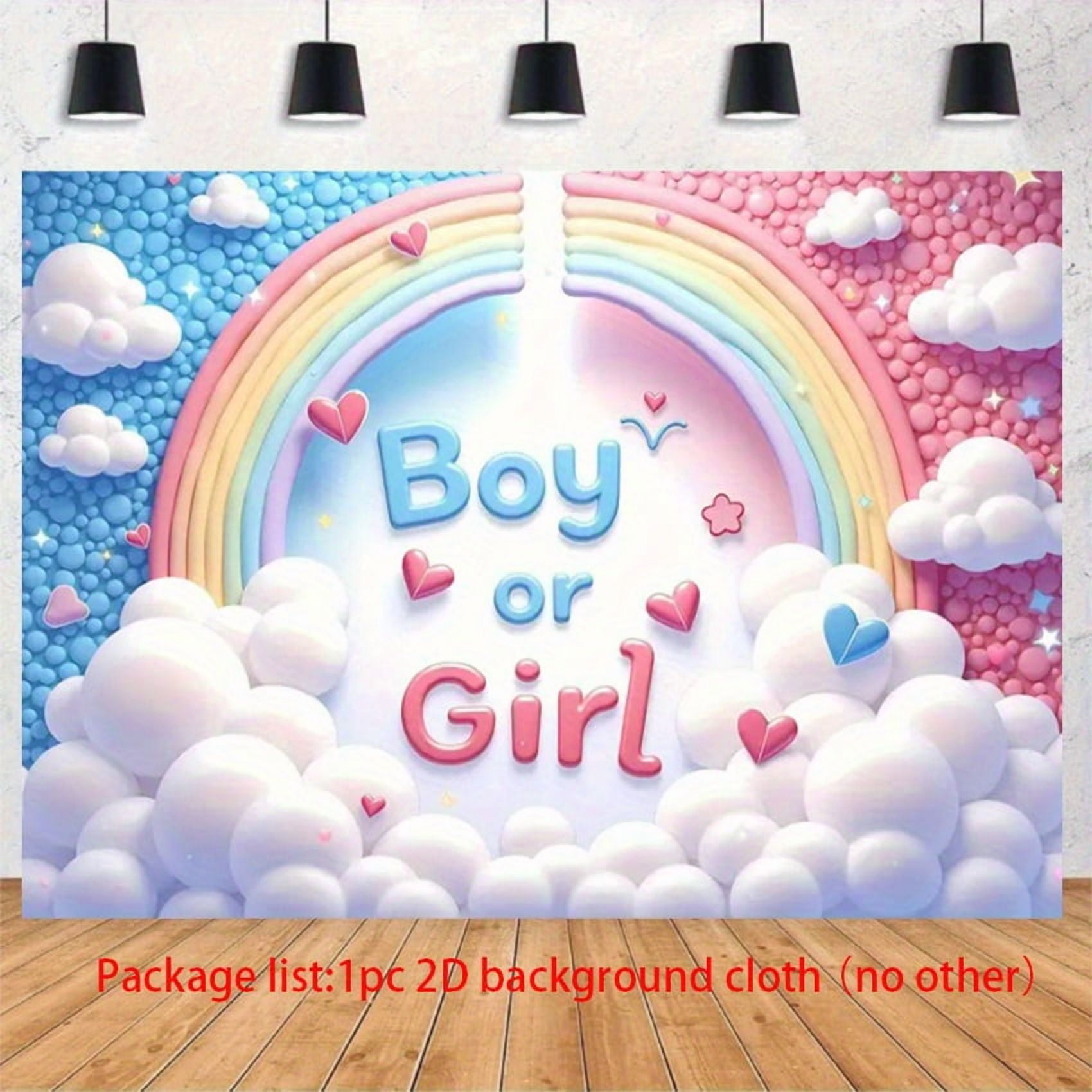 Gender Reveal Backdrop Rainbow Clouds He or She Gender Reveal ...