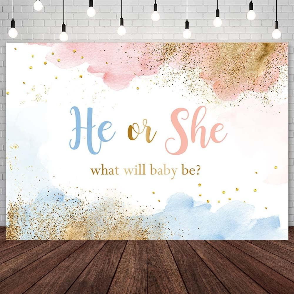 Gender Reveal Backdrop He or She What Will Baby Be Photography ...