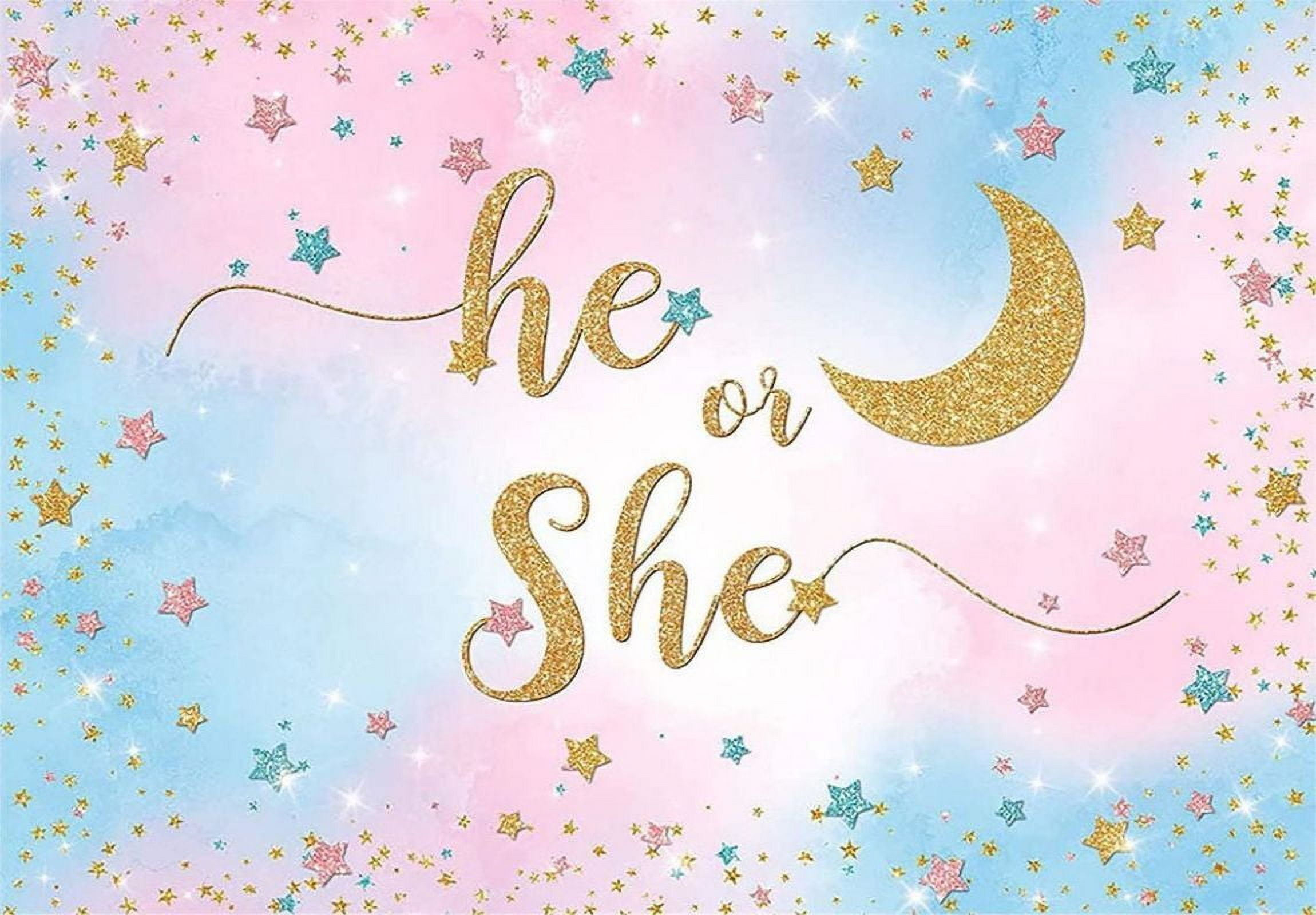 Gender Reveal Background Custom Birthday Backdrop He Or She ration ...
