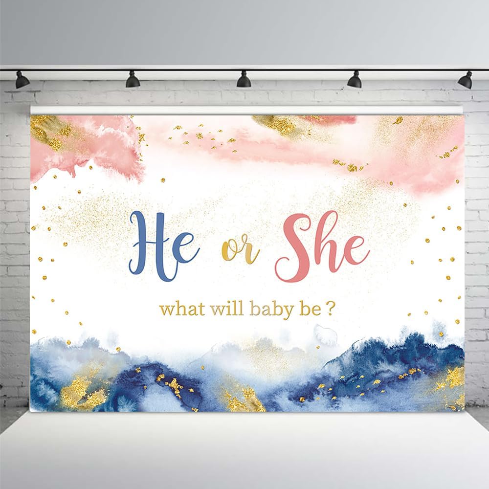 Gender Reveal He or She Backdrop What Will Baby Be Baby Shower ...