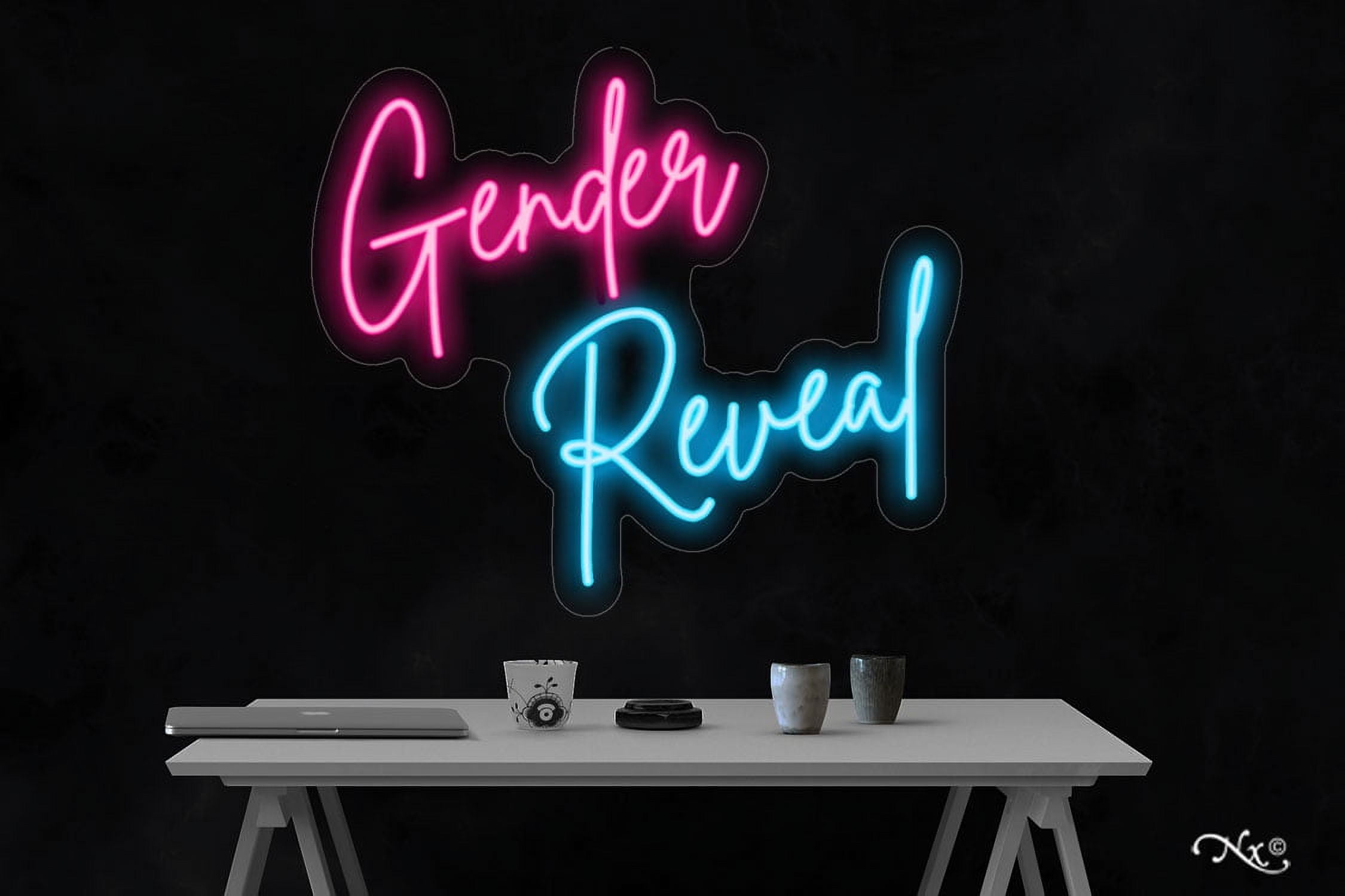 Gender Reveal-LED Neon Sign Made in USA - Walmart.com
