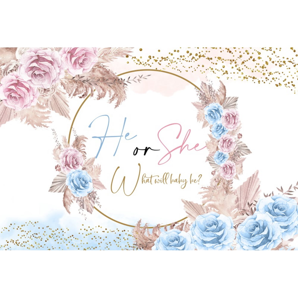 Gender Reveal Newborn Photography Backdrop Boy Or Girl Baby Shower ...