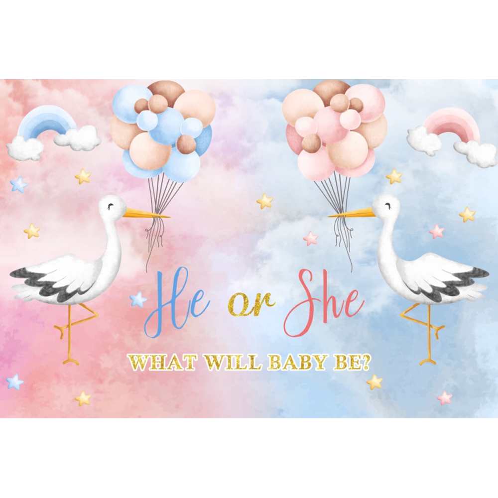 Gender Reveal Newborn Photography Backdrop Boy Or Girl Baby Shower ...