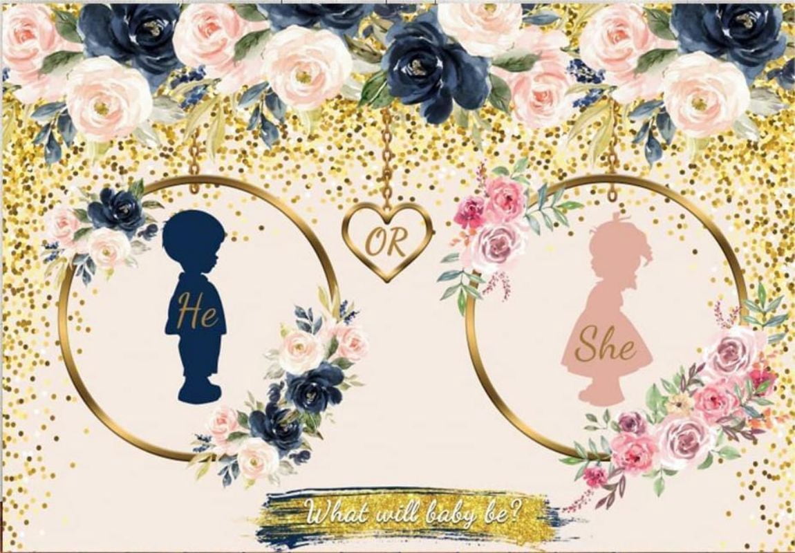 Gender Reveal Party Photo Background Prince Princess Newborn ...