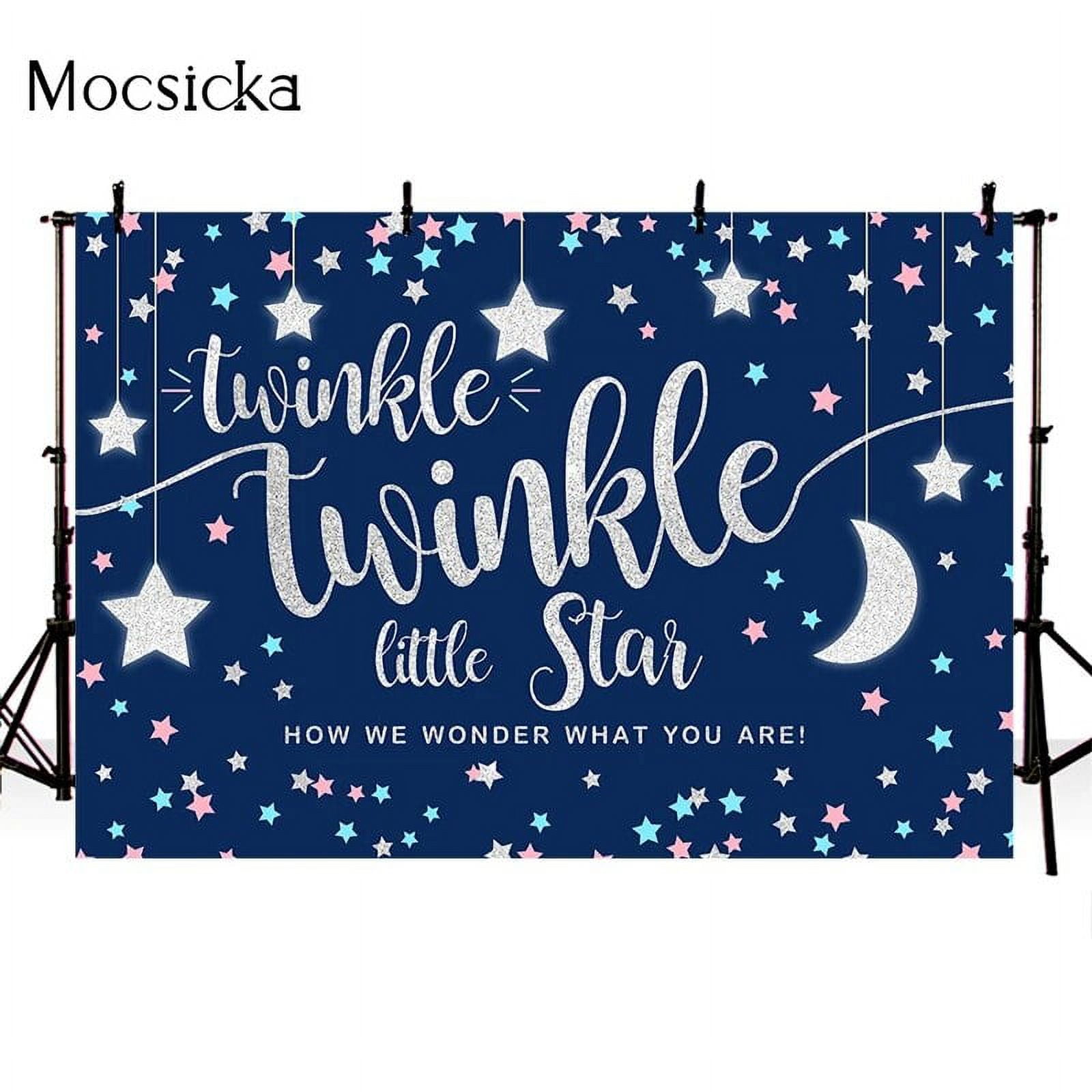 Gender Reveal Photography Background Stars Moon Decoration Props Boy ...