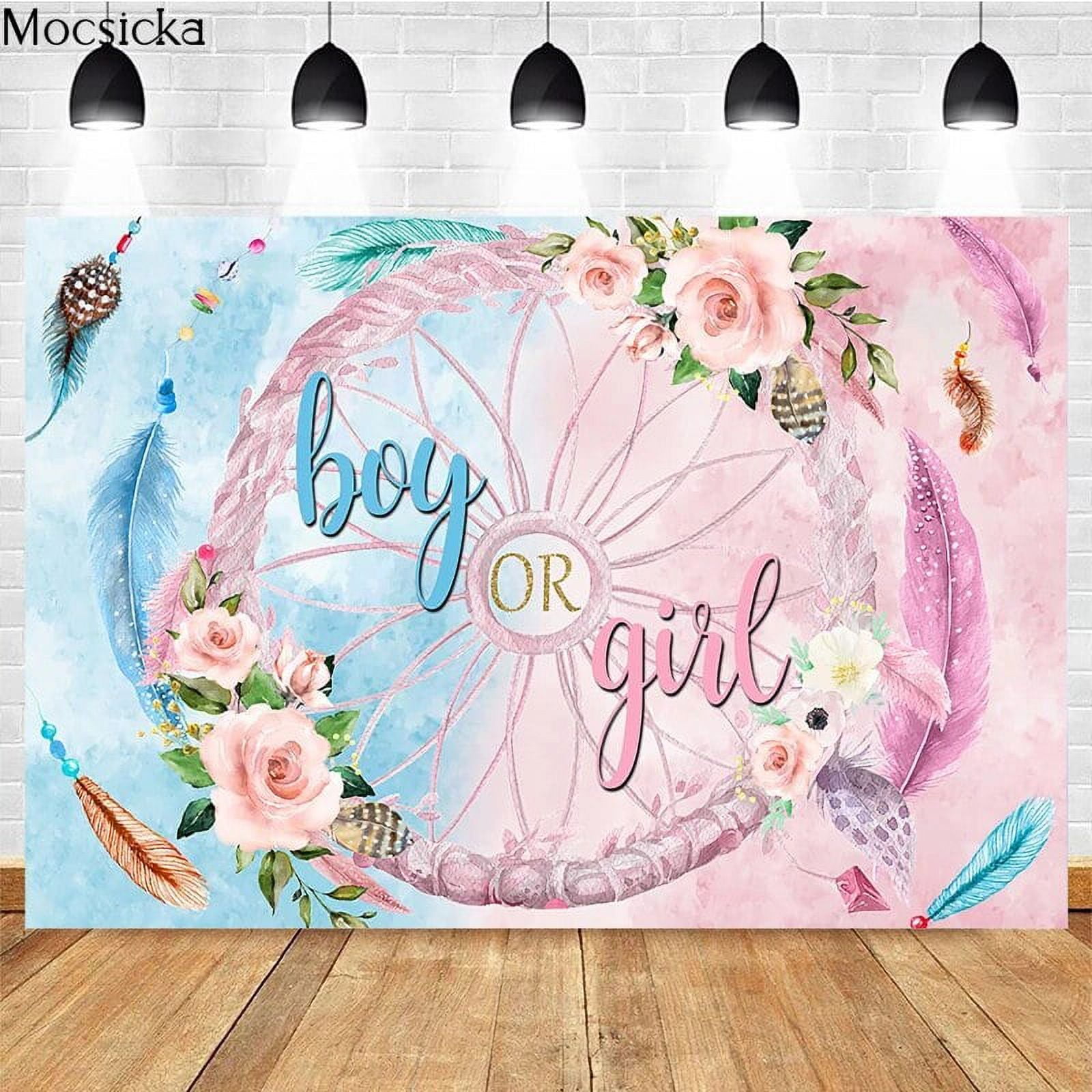 Gender Reveal Photography Background Wheel Feather Flowers Decoration ...