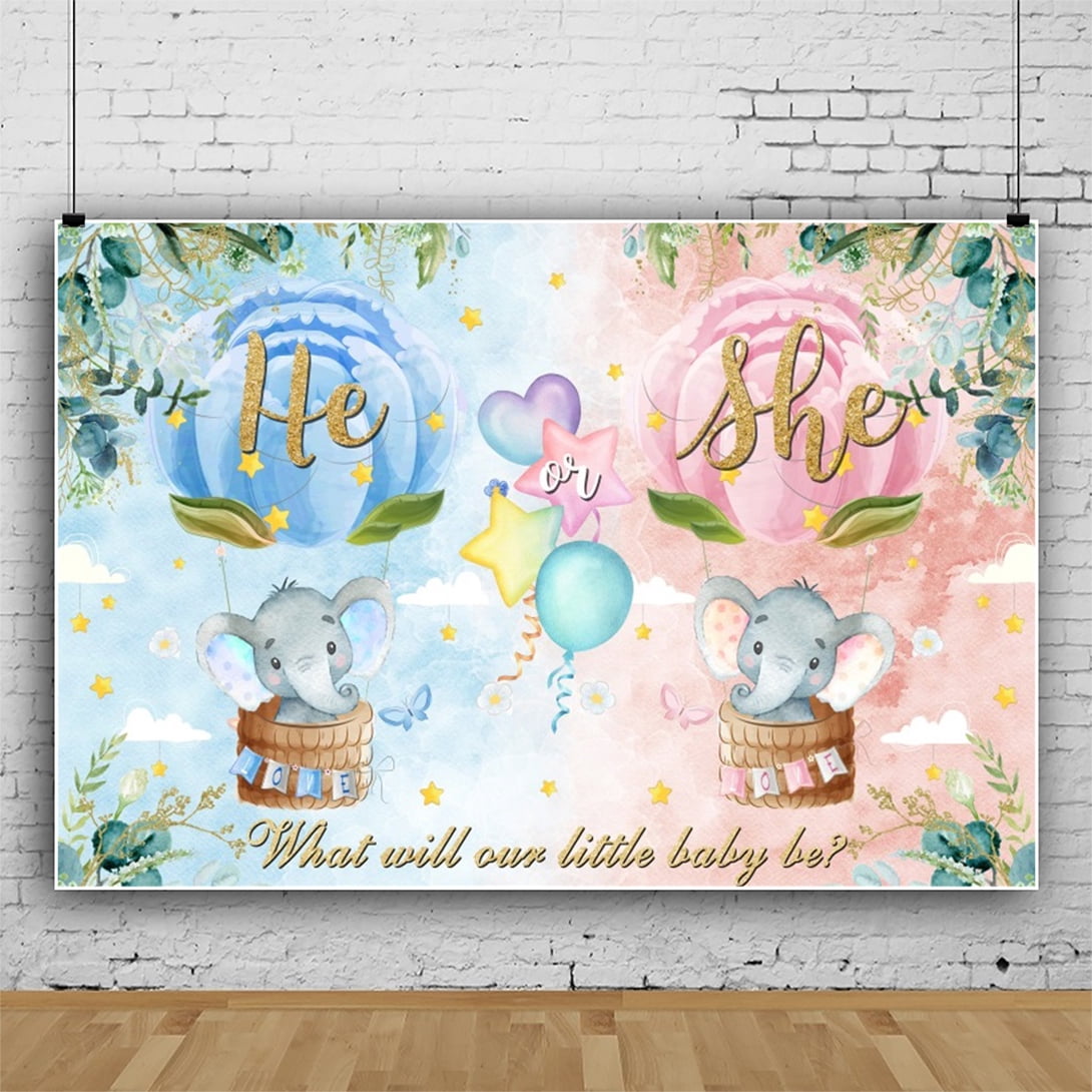 Gender Reveal Vinyl Backdrop,He or She Photography Background for Party ...