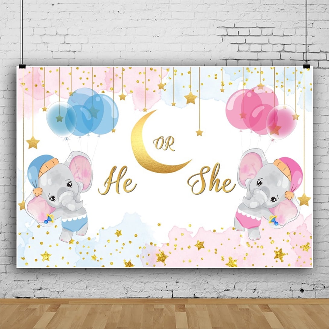 Gender Reveal Vinyl Backdrop for Party Decorations,He or She ...