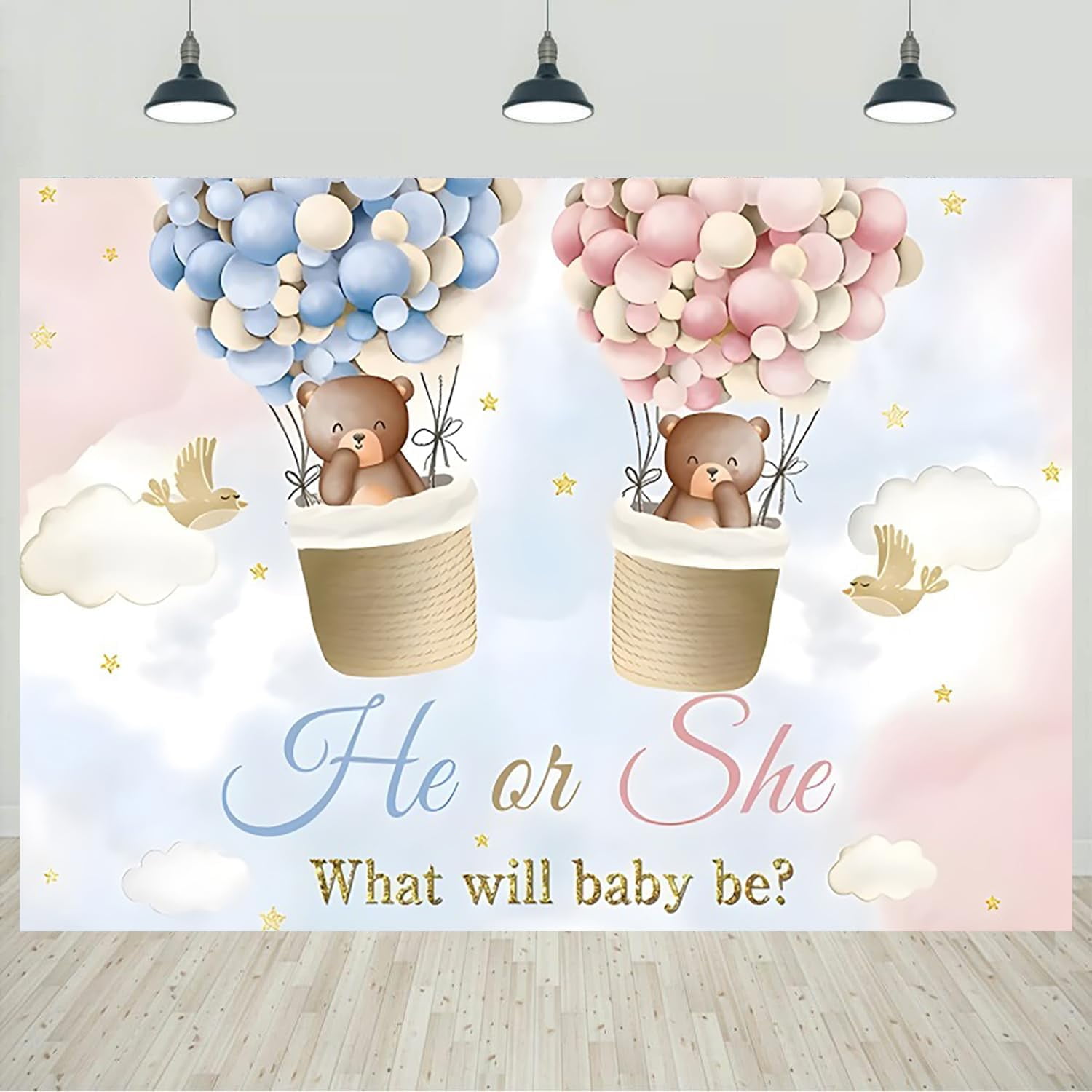 Gender Revel Backdrop He or She What Will Baby Be Photography ...