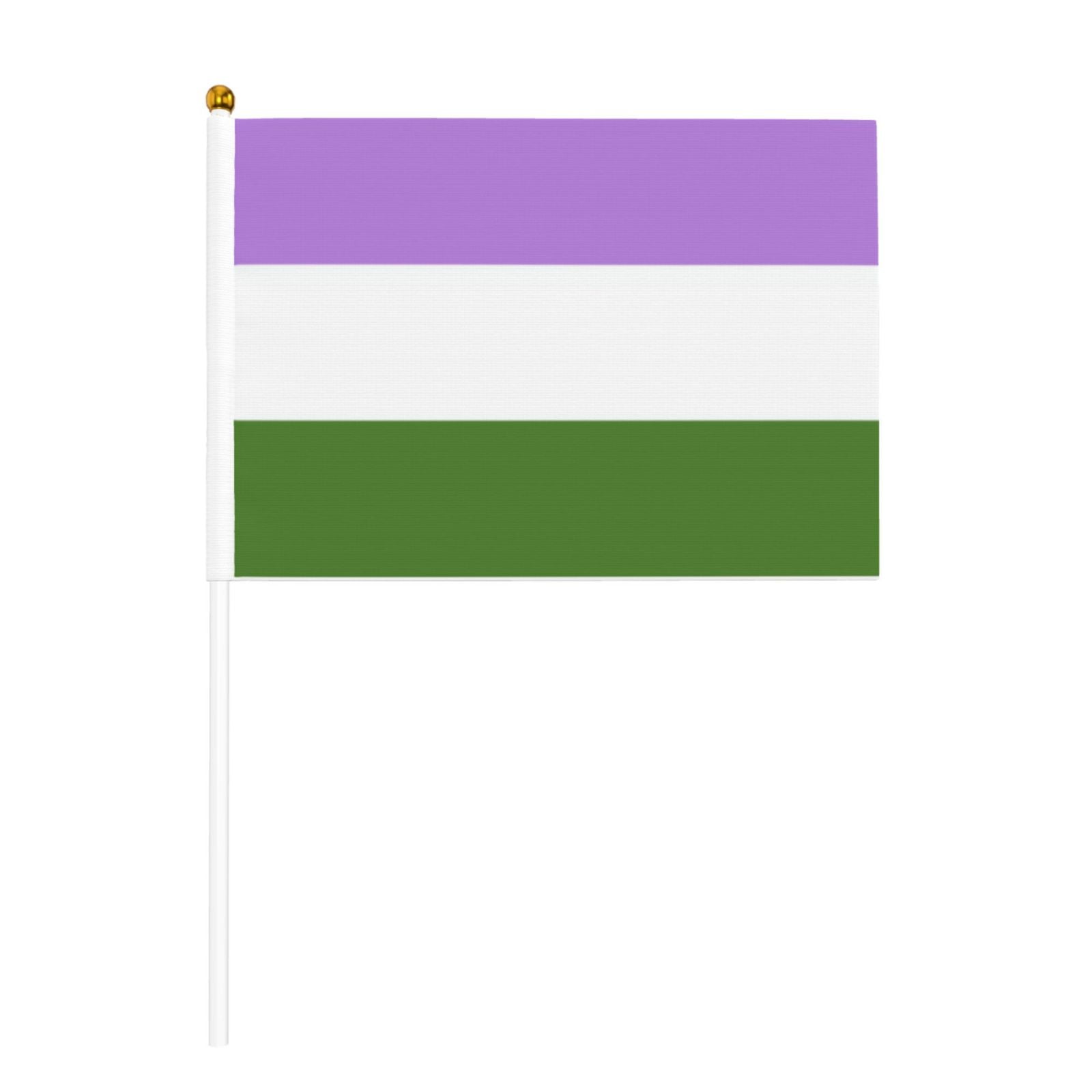 Genderqueer Pride Lgbtq Flag Flag Small Mini Hand Held Flags Small ...