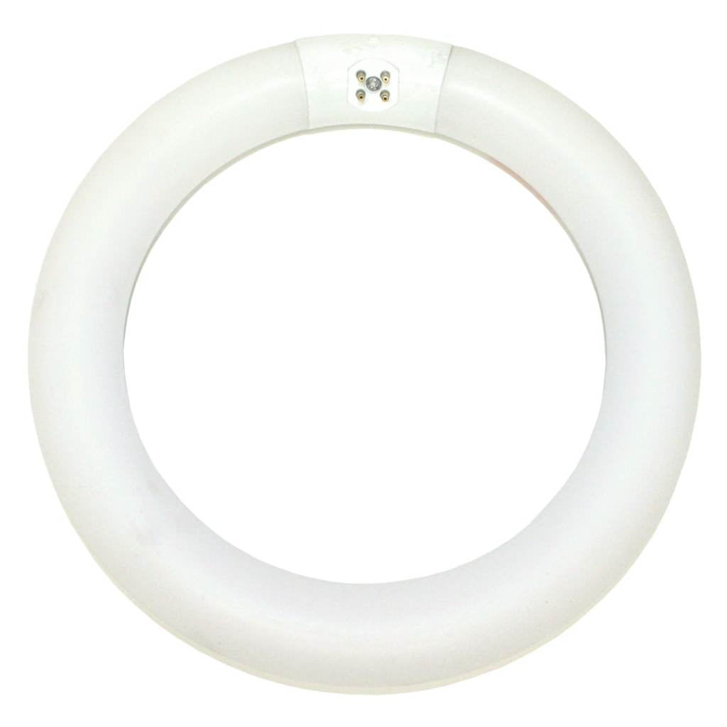 General 20148 - FC8T9/CW/RS/TF TUFFCOAT Circular T9 Fluorescent Tube ...