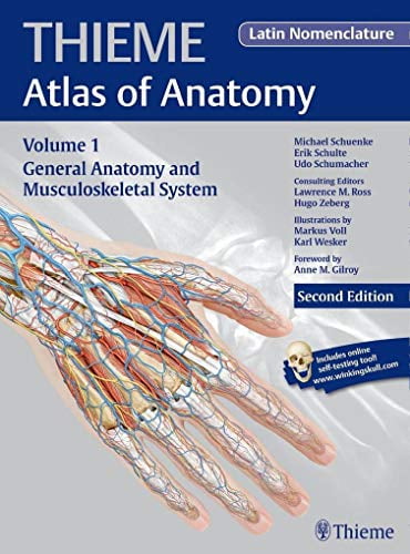 Pre-Owned General Anatomy and Musculoskeletal System (Latin) (Thieme ...