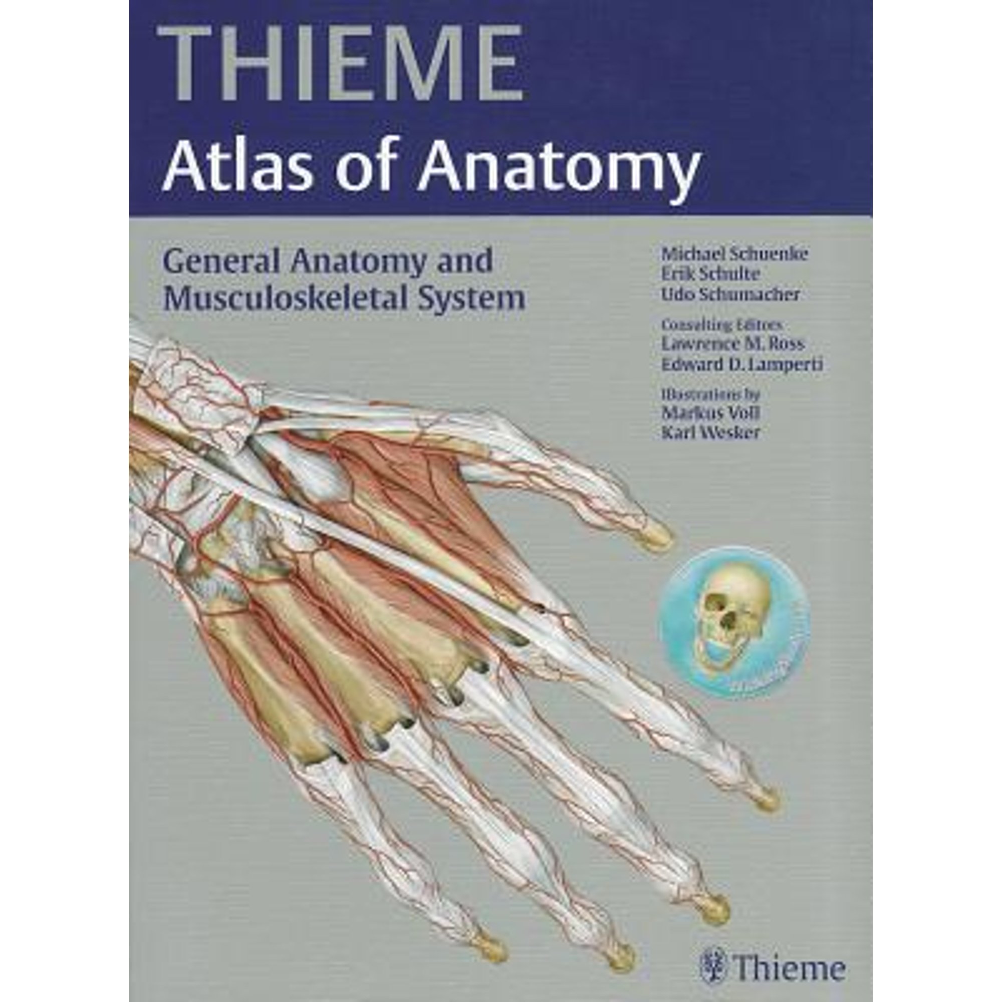 Pre-Owned General Anatomy and Musculoskeletal System (THIEME Atlas of ...