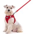 General Dog Harness Small Sized and Leash Set, Step in Soft Light Puppy ...