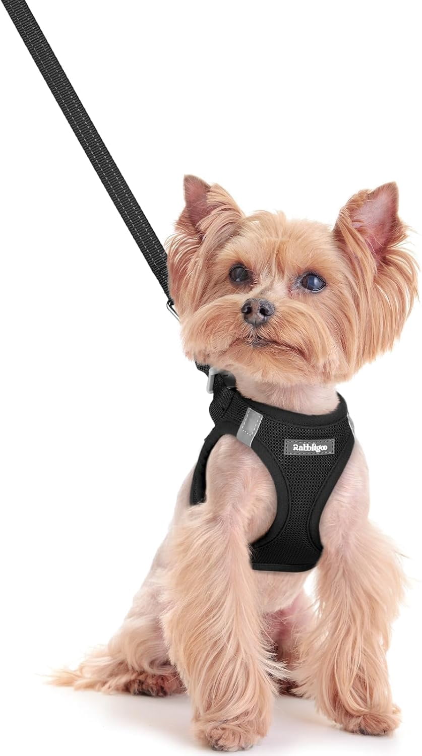General Dog Harness Small Sized and Leash Set, Step in Soft Light Puppy ...