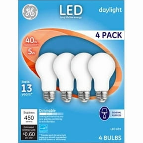 Shop 5 Watt Light Bulbs for Home Improvement in a Variety of Styles
