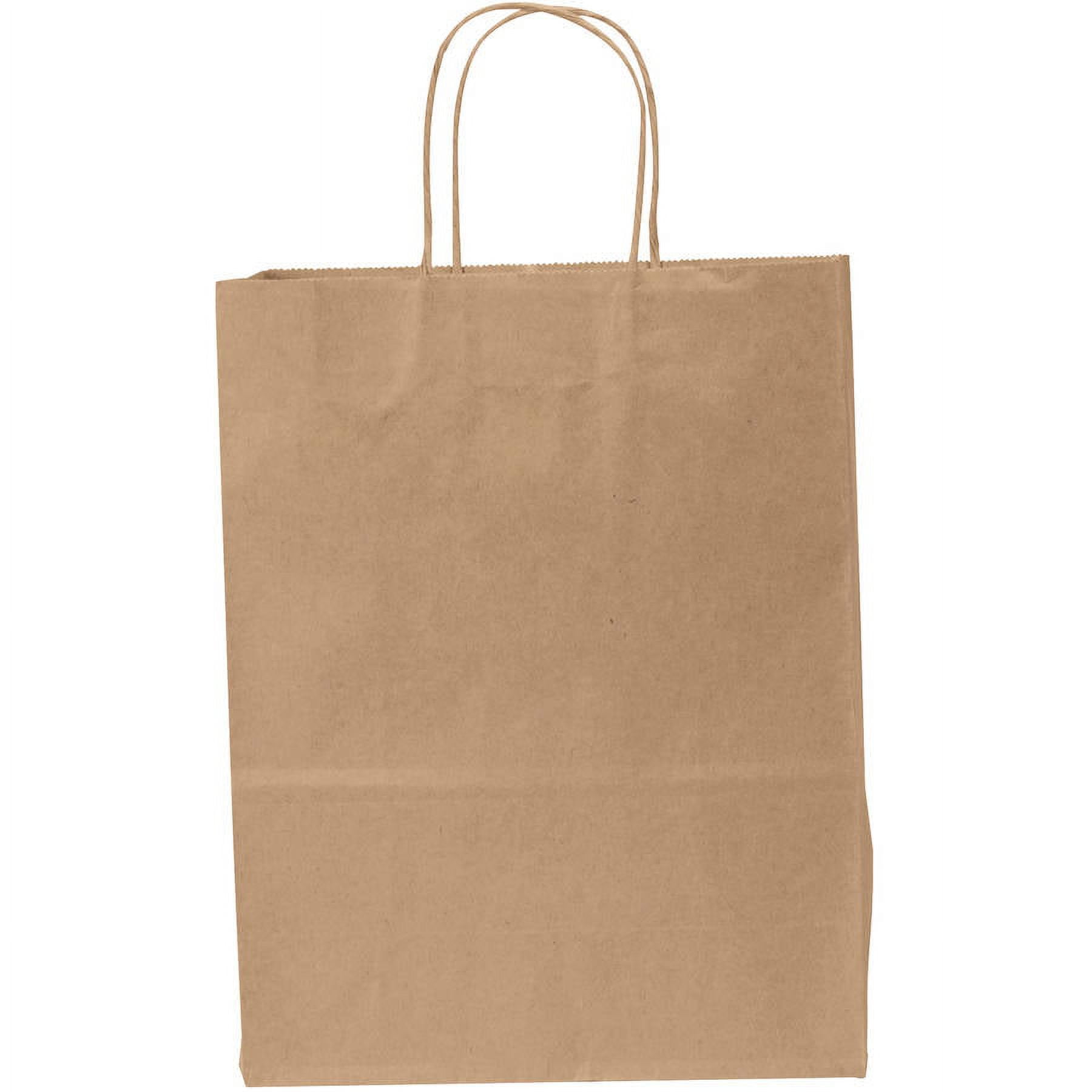 General Heavy-Duty Kraft Paper Shopping Bags, 60 pounds, 250 count ...