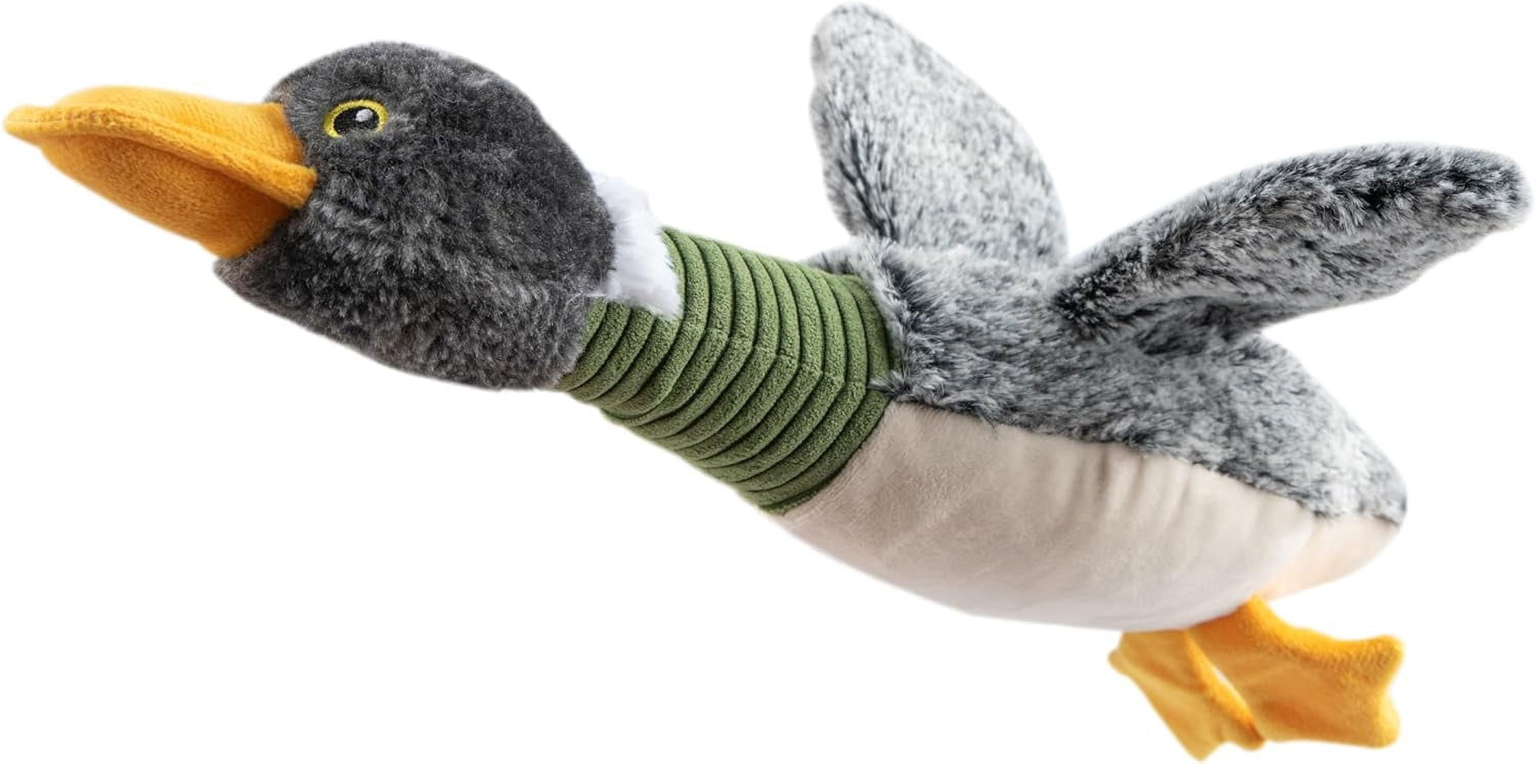 General Interactive Squeaky Dog Chew Toy, Ideal Dog Toys for Chewers ...