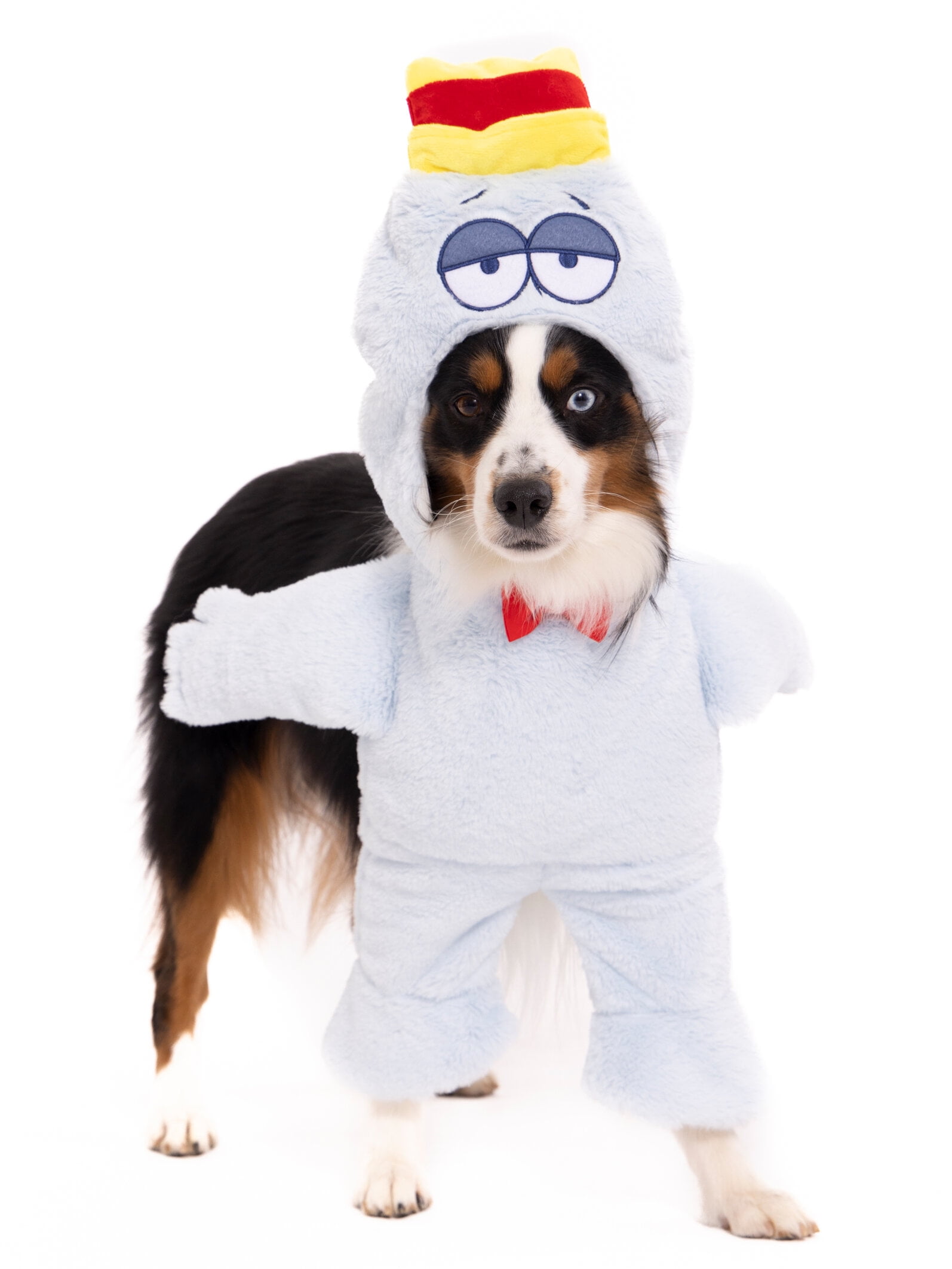 General Mills Monster Cereals Boo Berry Front Walker Pet Costume Sizes ...