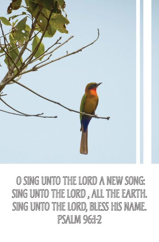 General Worship Bulletin: Sing Unto The Lord (Package of 100) : Psalm ...