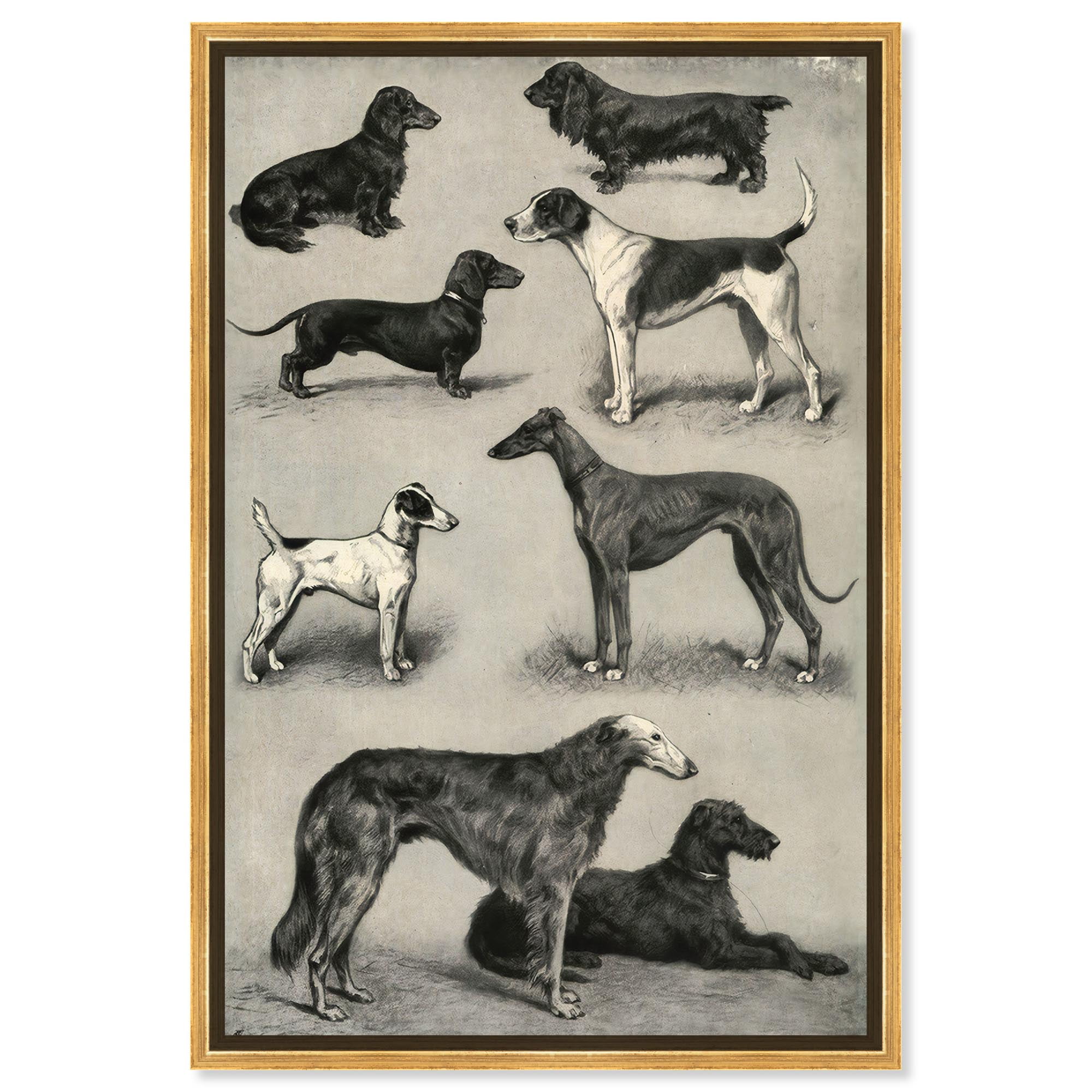 Generations of Dogs I Canvas Animal Line Art by Art Remedy, Gold Frame ...