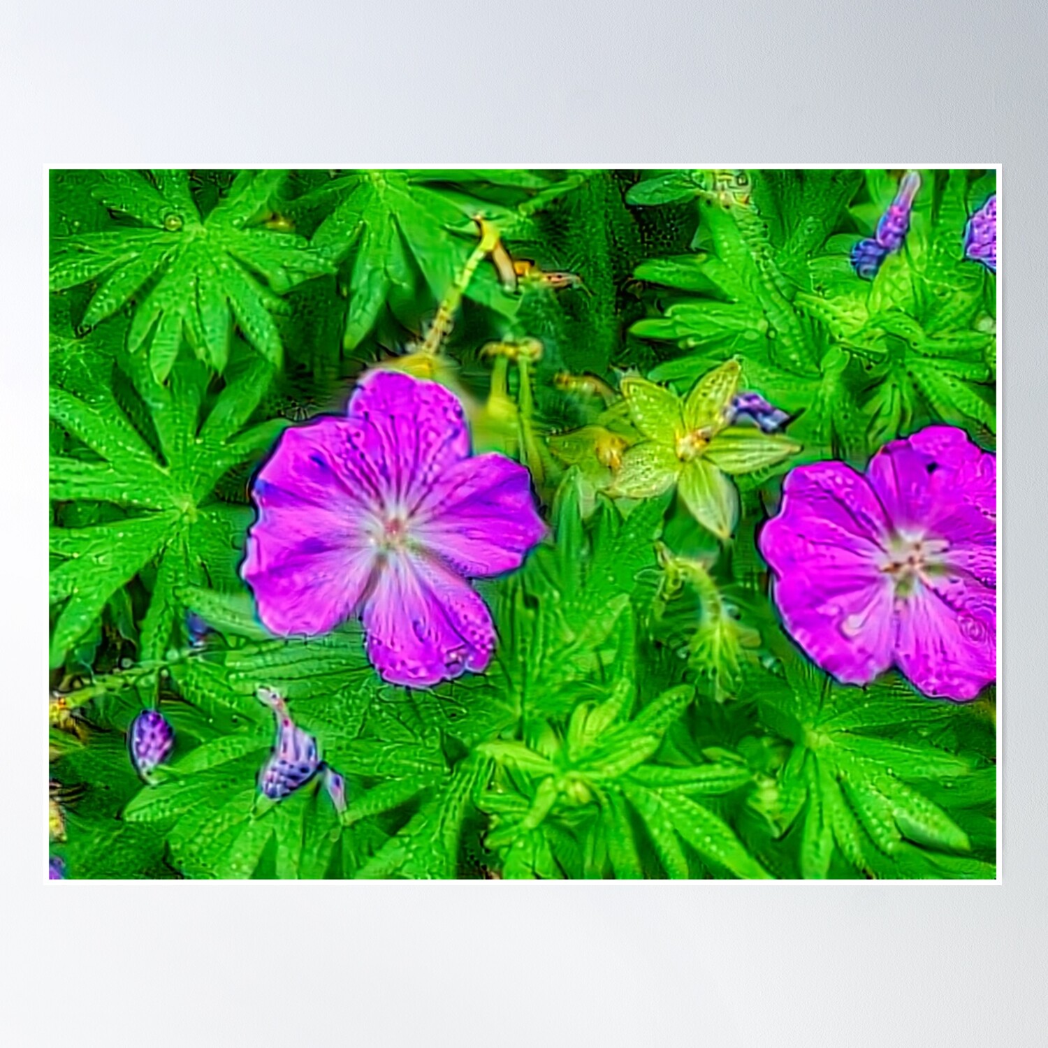 Generative Geranium Poster Wall Art, Modern Wall Decor, 24x36 UNFRAMED ...