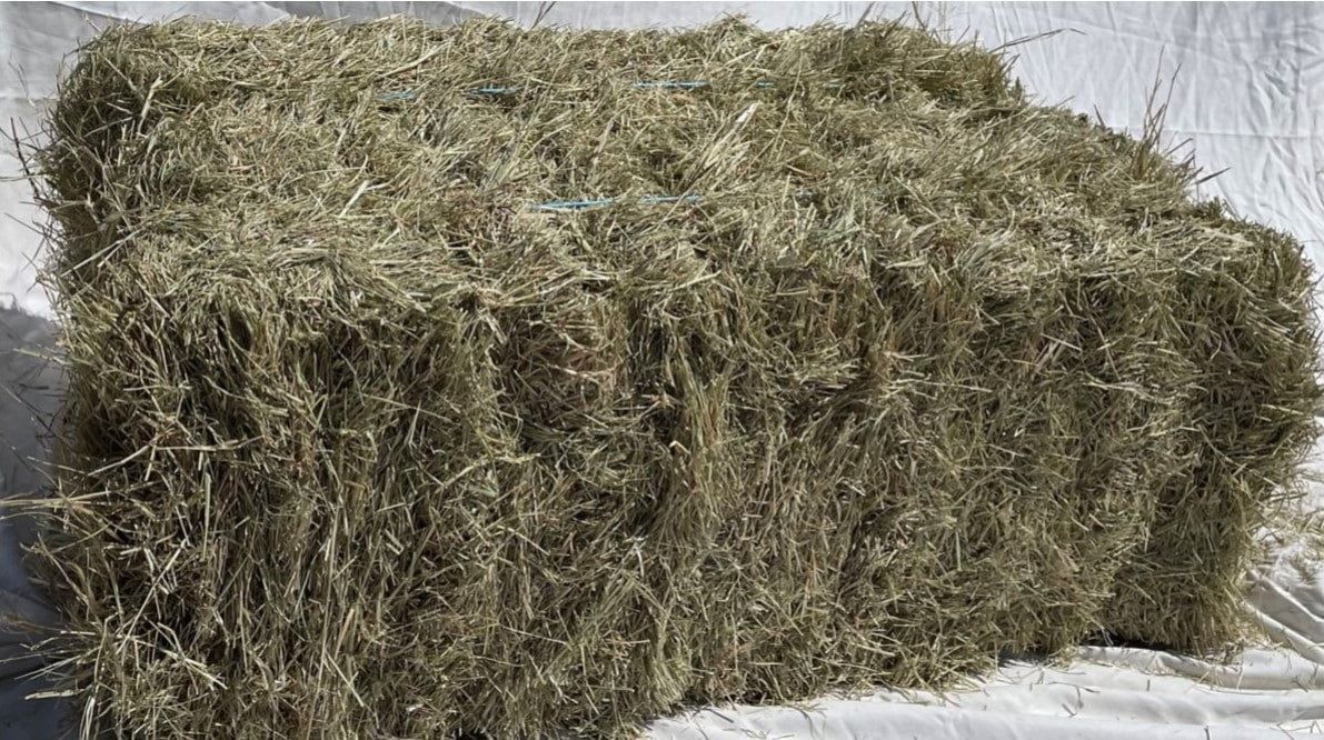 Generic 2-String Coastal Bermuda Hay Horse Feed - Walmart.com