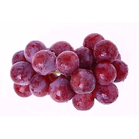 Generic Grape Seeds, 50 Seeds, Easy Planting, Optimal Growth in Warm ...