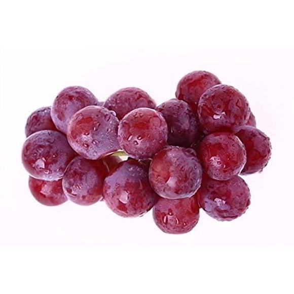 Grape Seeds in Seed Gardening - Walmart.com