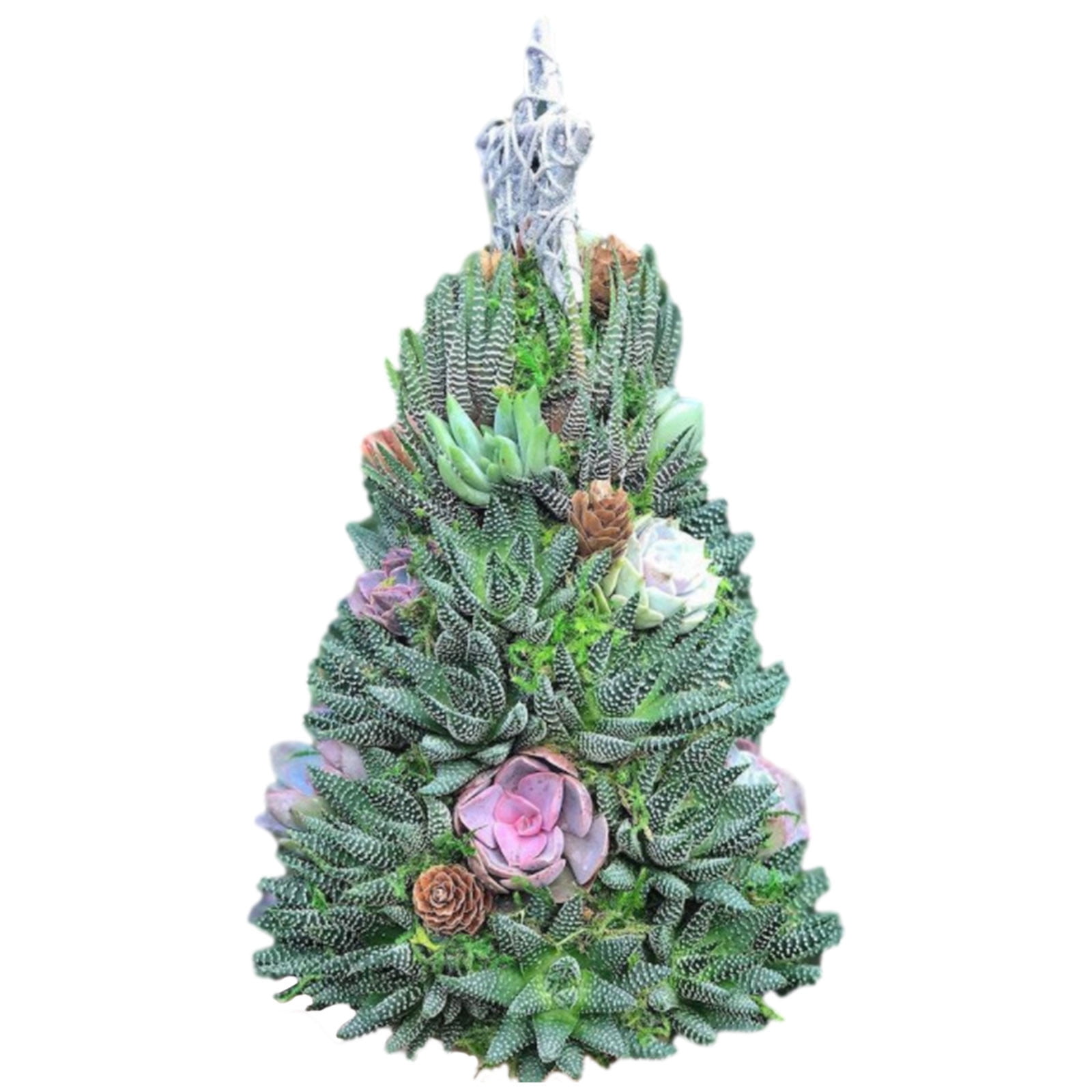Generic Resin Succulent Christmas Tree for Christmas Decor, 12 inch ...
