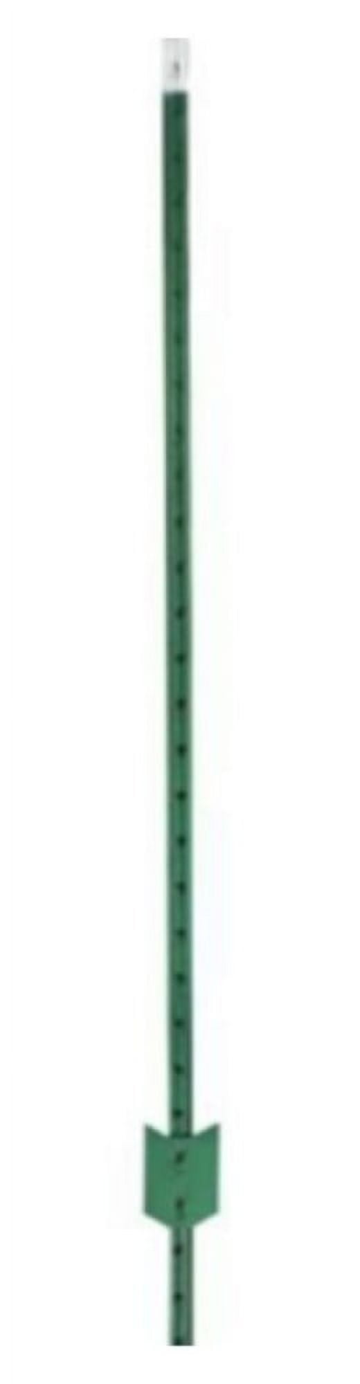 Generic TP125PGN050 5 ft. Studded Fence T-Post, 1.25 lb./ft. with ...