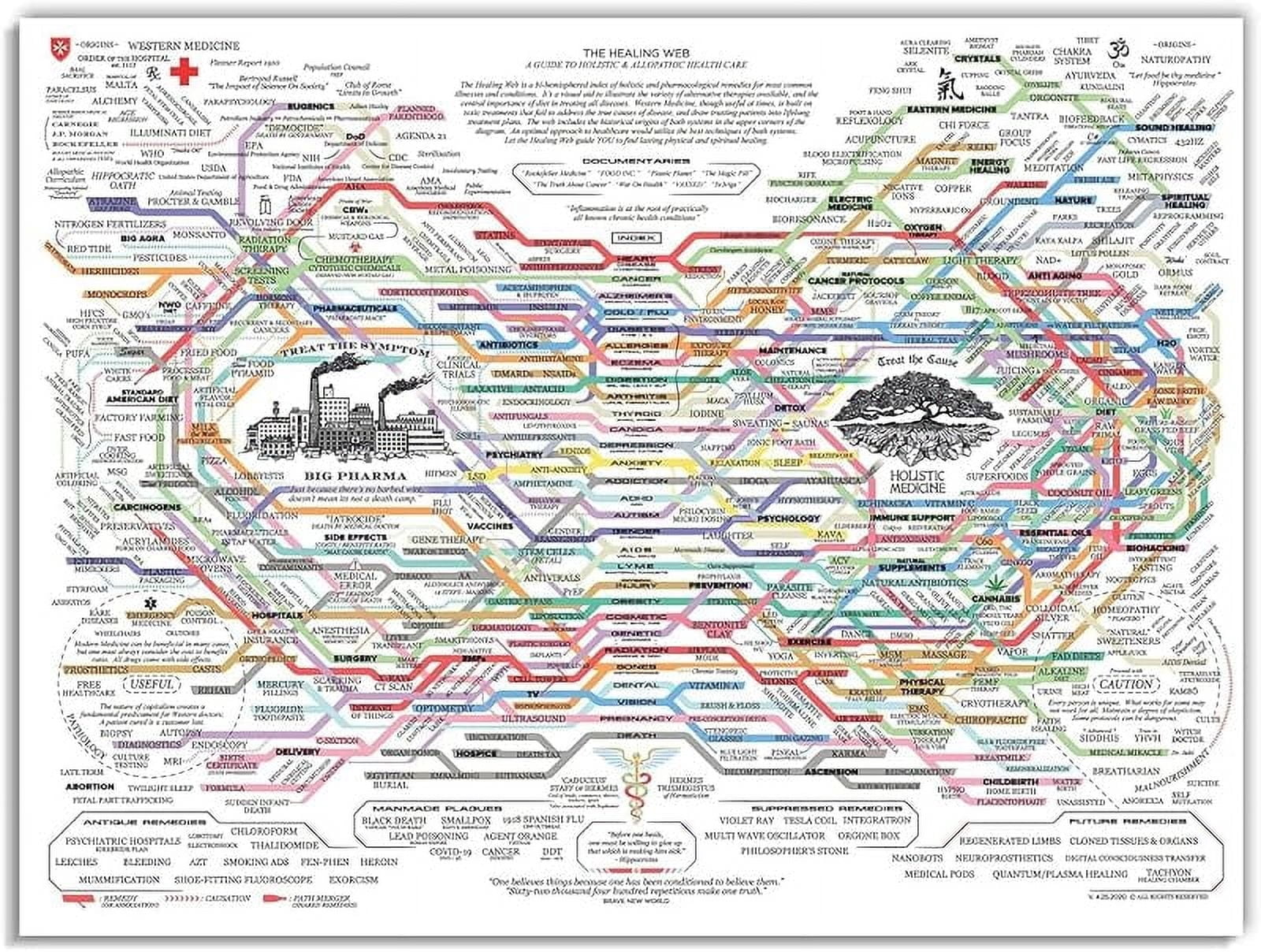 Generic The Healing Web Poster - Natural Remedies Chart 12x18inch ...