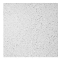 Genesis Antique White Ceiling Tiles - Easy Drop-In Installation ...