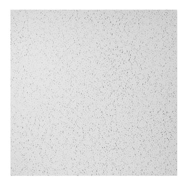 2ft x 4ft Printed Pro Ceiling Tiles - PVC Ceiling Panel 24 x 48in ...