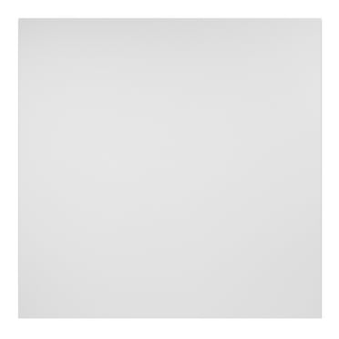 Genesis 2’ x 4’ Smooth Pro (10 Pack) Waterproof, Fire-Rated PVC ...