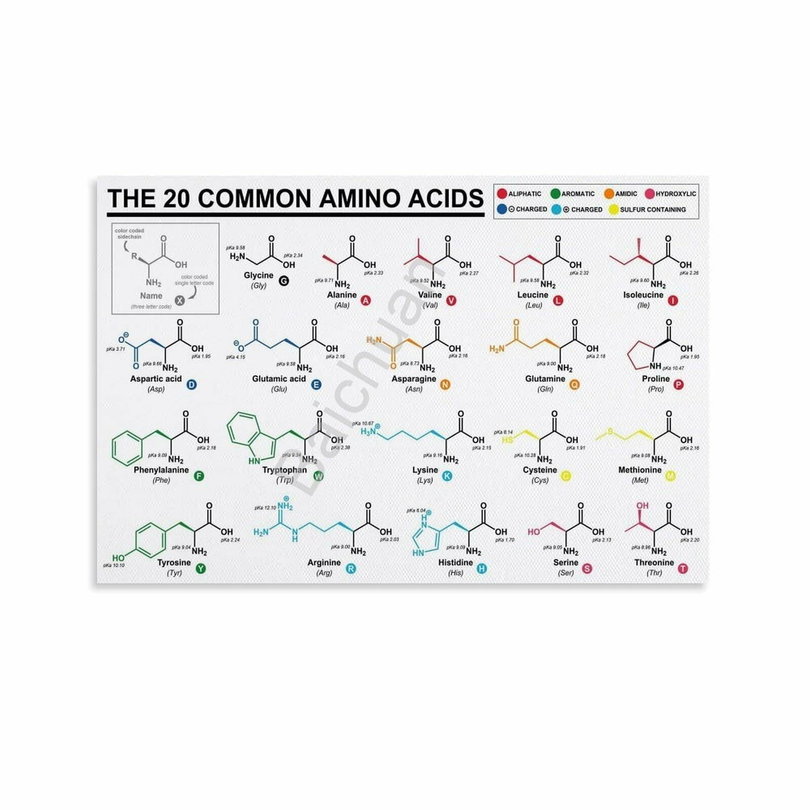 Genetic Code For Amino Acids Chart Poster (3) Canvas Painting Posters ...