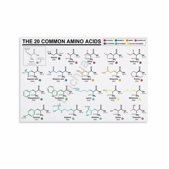 Genetic Code For Amino Acids Chart Poster (3) Canvas Painting Posters ...