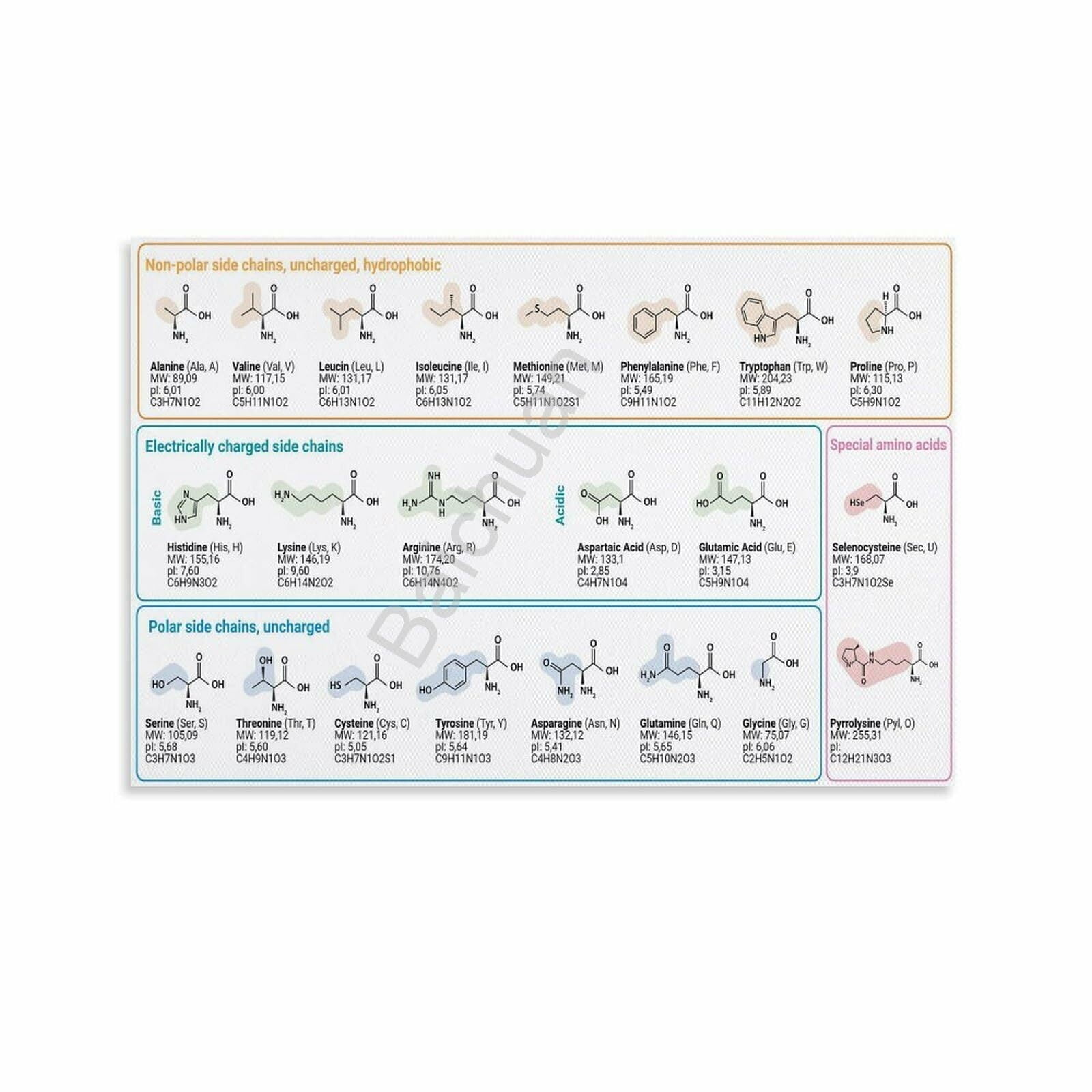 Genetic Code For Amino Acids Chart Poster (4) Canvas Painting Posters ...