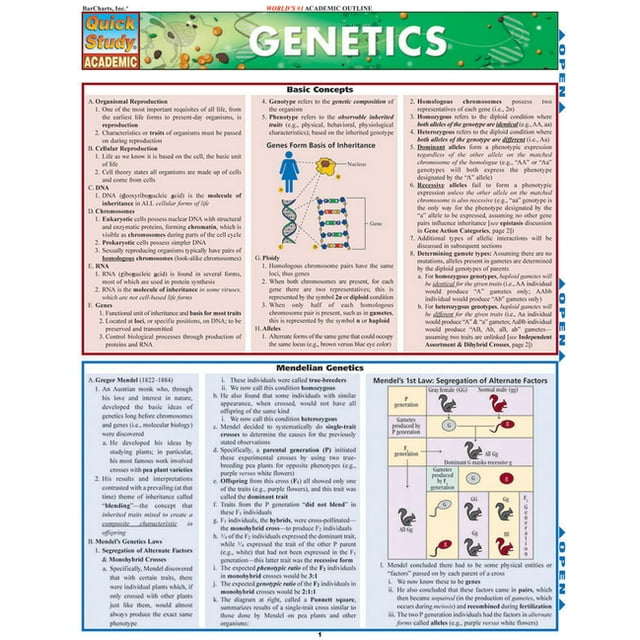 Genetics Laminate Reference Chart - Walmart.com